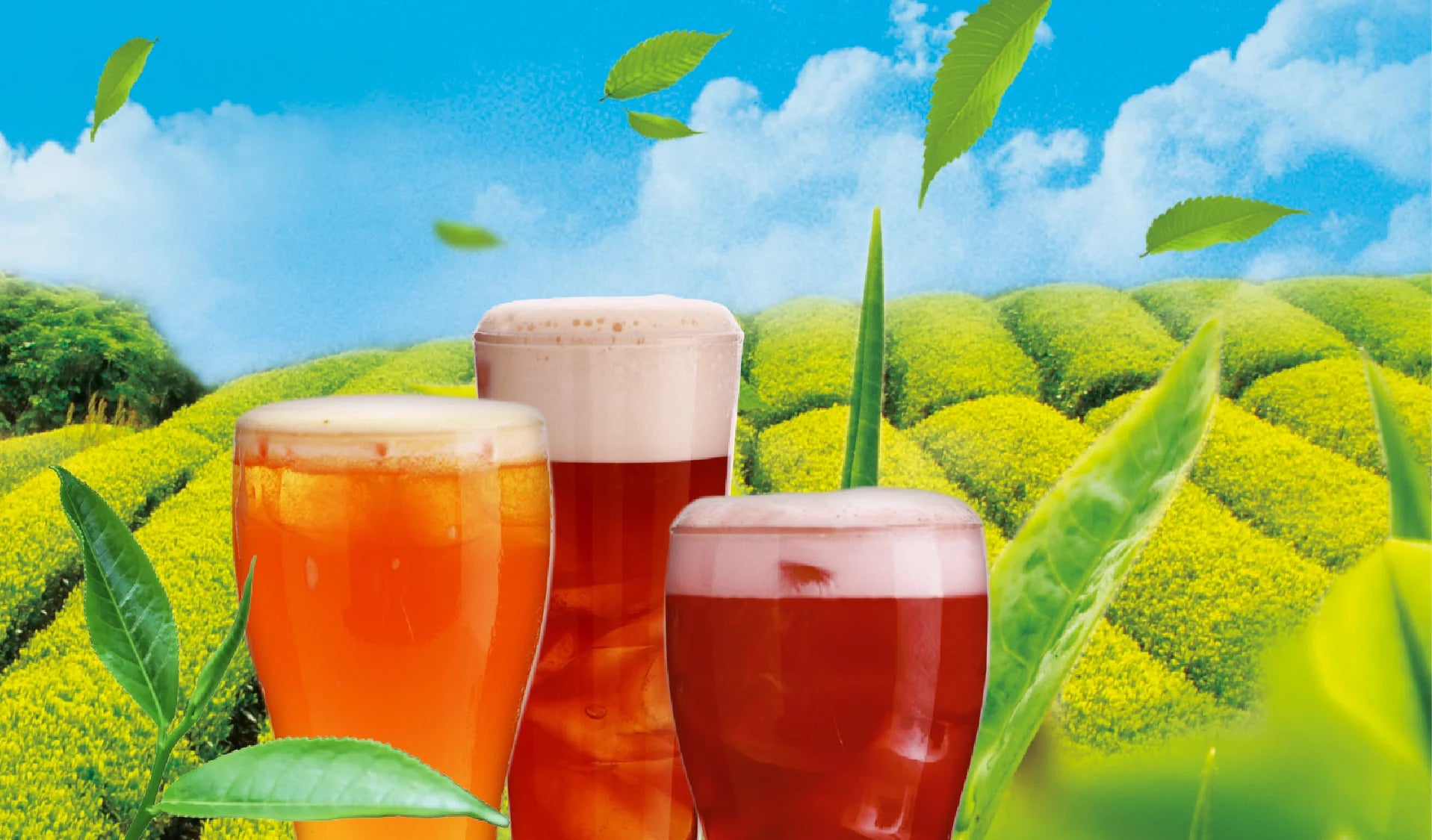 TEA – POSSMEI EU ONLINE SHOP